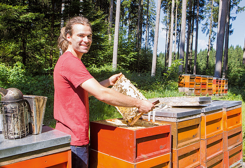 Goldstück - Imkerei