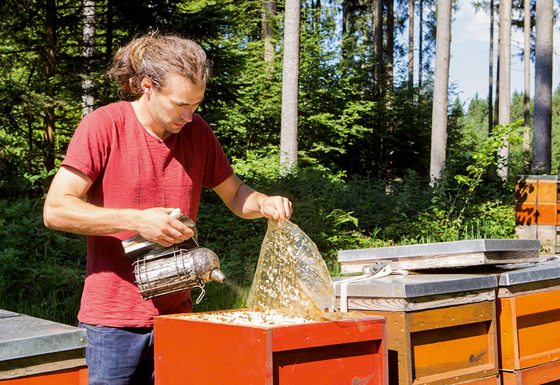 Goldstück - Imkerei