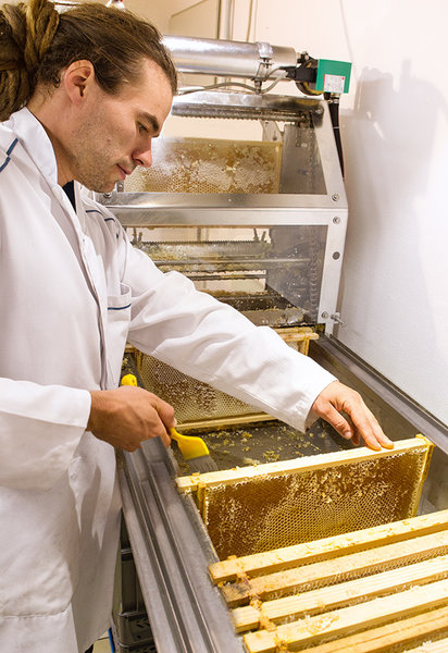 Goldstück - Imkerei